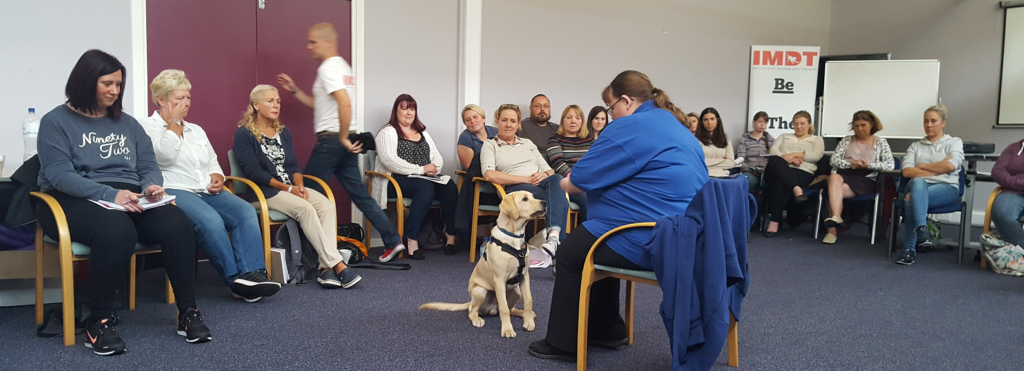 The IMDT - Nero Dog Training